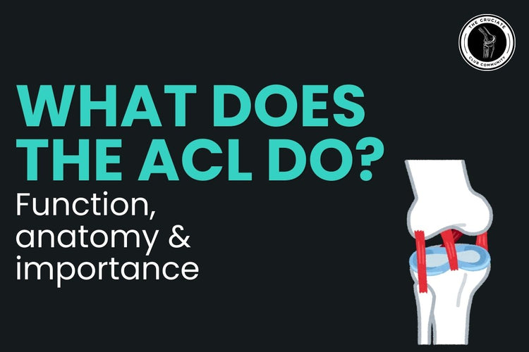 What Does the ACL Do? Function, Anatomy & Why It Matters – AG Injury ...
