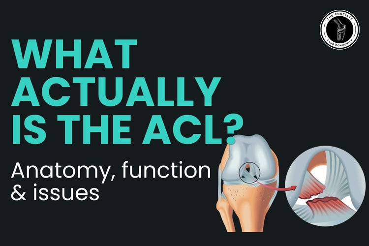 What Is the ACL? Anatomy, Function & What Can Go Wrong – AG Injury ...